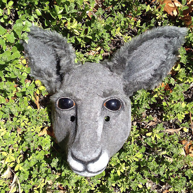 The Kangaroo mask - Hilary Talbot